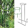 Amazon.com : Orgrimmar 2-Pack Half Round Metal Garden Plant Support ...