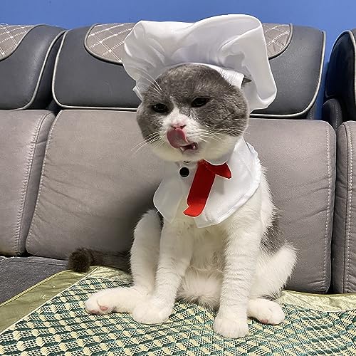 Pet Chef Hat Costume Set Pet Cooking Chef Cap Chef Dog Bandana ...