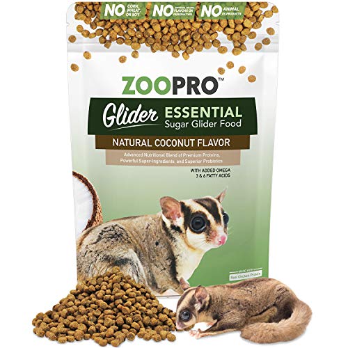 Top 10 Best Sugar Glider Pellet Food : Reviews & Buying Guide - Katynel