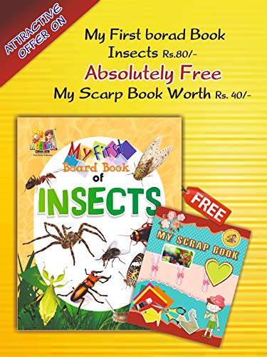 Amazon.in: Buy My First Board Book Of Insects With Free My Scrap Book ...