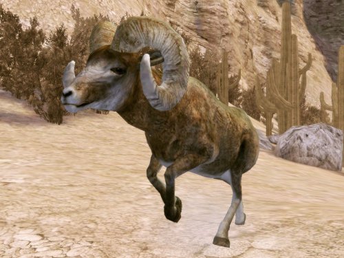 Top 30 PSP Adventure Games To Play (May. 2026) - Cherry Picks