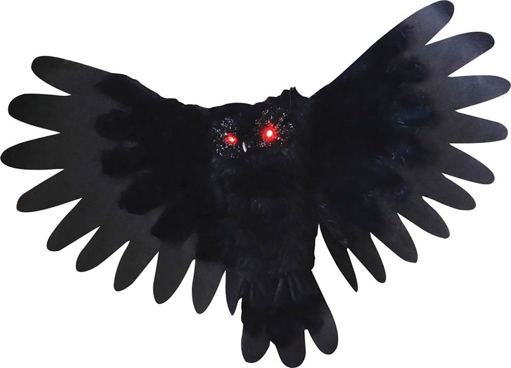 Amazon.com: Animated Owl Halloween Prop : Toys & Games