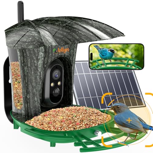10 Best bird watching video camera
