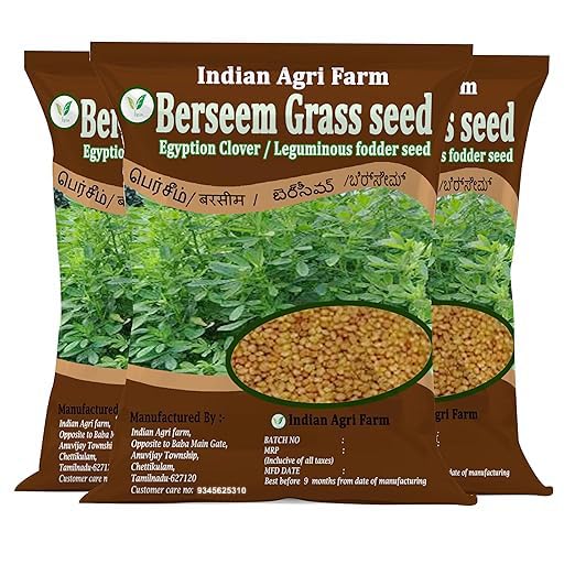 Iagrifarm Berseem/Egyptian clover - 3Kg (Trifolium alexandrinum ...