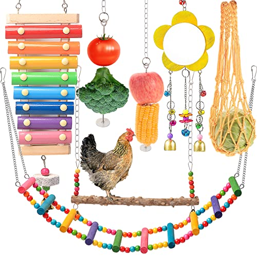 10 Best Chicken Toys [2025]