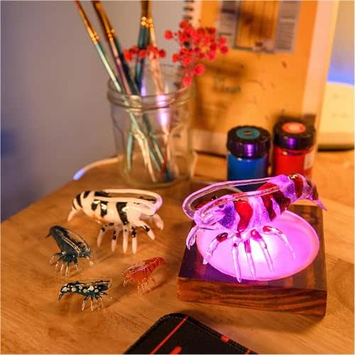 Amazon.com: Handmade Premium Freshwater Shrimp Figurines - Unique Resin ...
