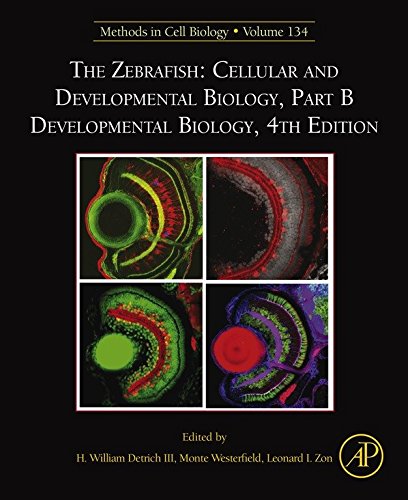 The Zebrafish: Cellular and Developmental Biology, Part B Developmental ...