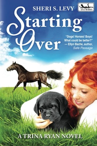 Starting Over: A Trina Ryan Novel: Levy, Sheri S.: 9781935460770 ...