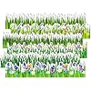 Amazon.com: Konsait Spring Bulletin Board Border Set, 55Ft Bulletin ...