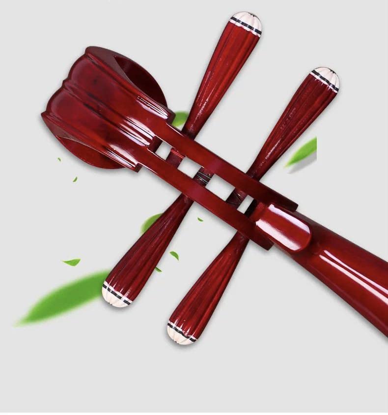 Professional Pipa Lute LANDTOM Professional Chinese Lute PiPa ...