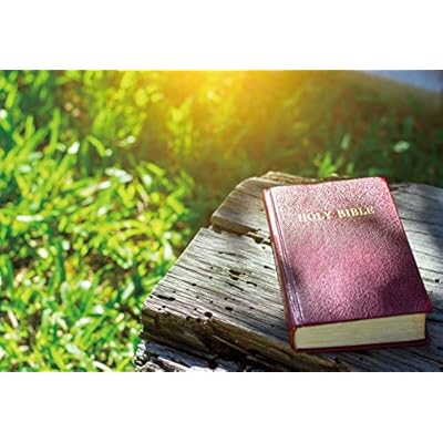 Buy Leowefowa Green Grassland Holy Bible Backdrop 5x3ft Jesus Christ ...