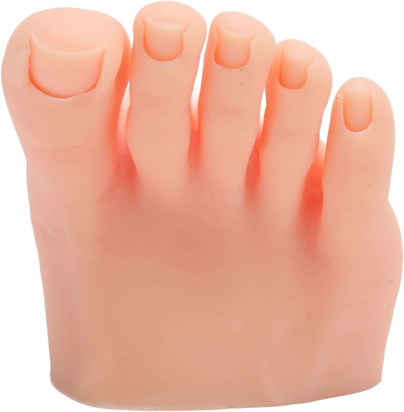 Amazon.com: TYTOGE Fake Foot Model Soft Silicone Prosthetic Flexible ...