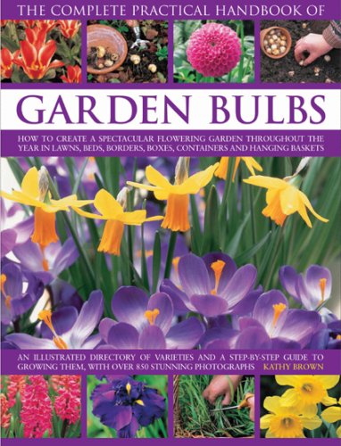 Fall Planting Bulbs | How to Have a Colorful Spring Garden