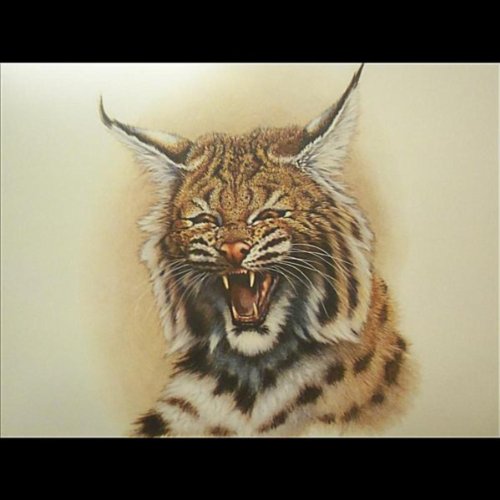 Amazon MusicでJason EusticeのGo Big Blueを再生する