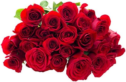 Amazon.com : Blooms2Door PRIME NEXT DAY DELIVERY - 25 Red Roses (Farm ...