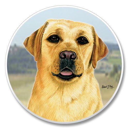Yellow Labrador Retriever Coaster, Single Coaster for Your C : Amazon ...