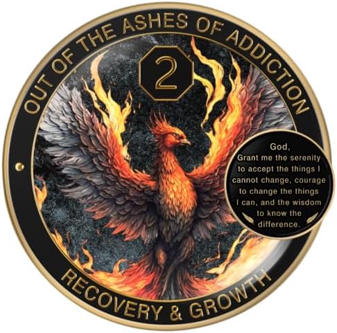Amazon.com: MilestoneMint Phoenix Sobriety Coin | AA Chip Medallion ...
