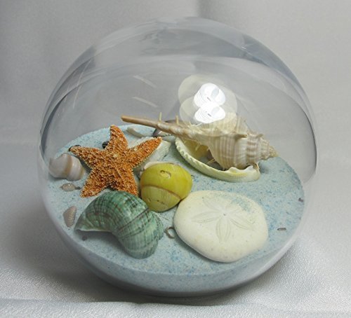 Amazon.com: Sand & Shell Sandglobe Paperweight 4-inch Seabreeze Sand ...