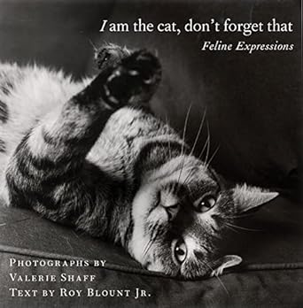 Amazon | I Am the Cat, Don't Forget That: Feline Expressions | Shaff ...
