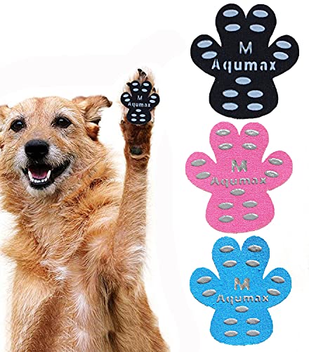 10 Best Dog Foot Protection [2025]