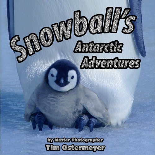 Snowball's Antarctic Adventures: Tim Ostermeyer, Master Photographer ...
