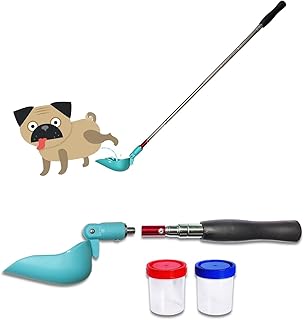 Collecting Dog Urine Samples: A Vet's Guide | MedShun
