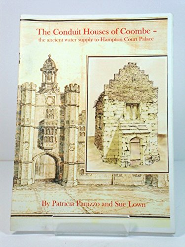 Buy The Conduit Houses of Coombe: The Ancient Water Supply to Hampton ...
