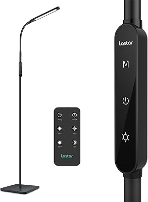 Dimunt LED Floor Lamp, Bright 15W Floor Lamps for Living Room with 1H ...