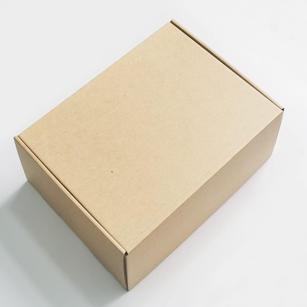 Amazon.com: LSVERDE 20 Packs 12x9x4 inches Shipping Boxes,Small Moving ...