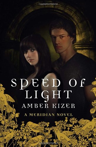 Speed of Light (Meridian) : Kizer, Amber: Amazon.co.uk: Books