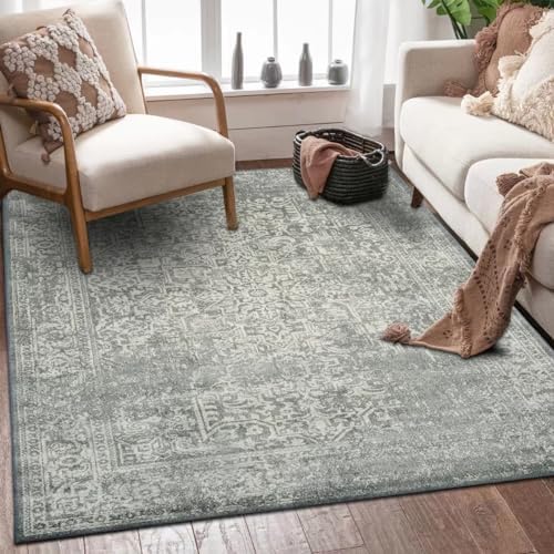 Amazon.com: 8x10 Area Rug for Living Room - Machine Washable Rug with ...