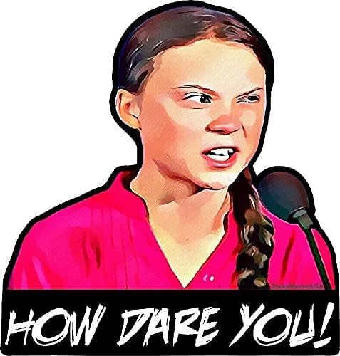 Amazon.com - Greta Thunberg How Dare You Vinyl Sticker for Car Decal ...