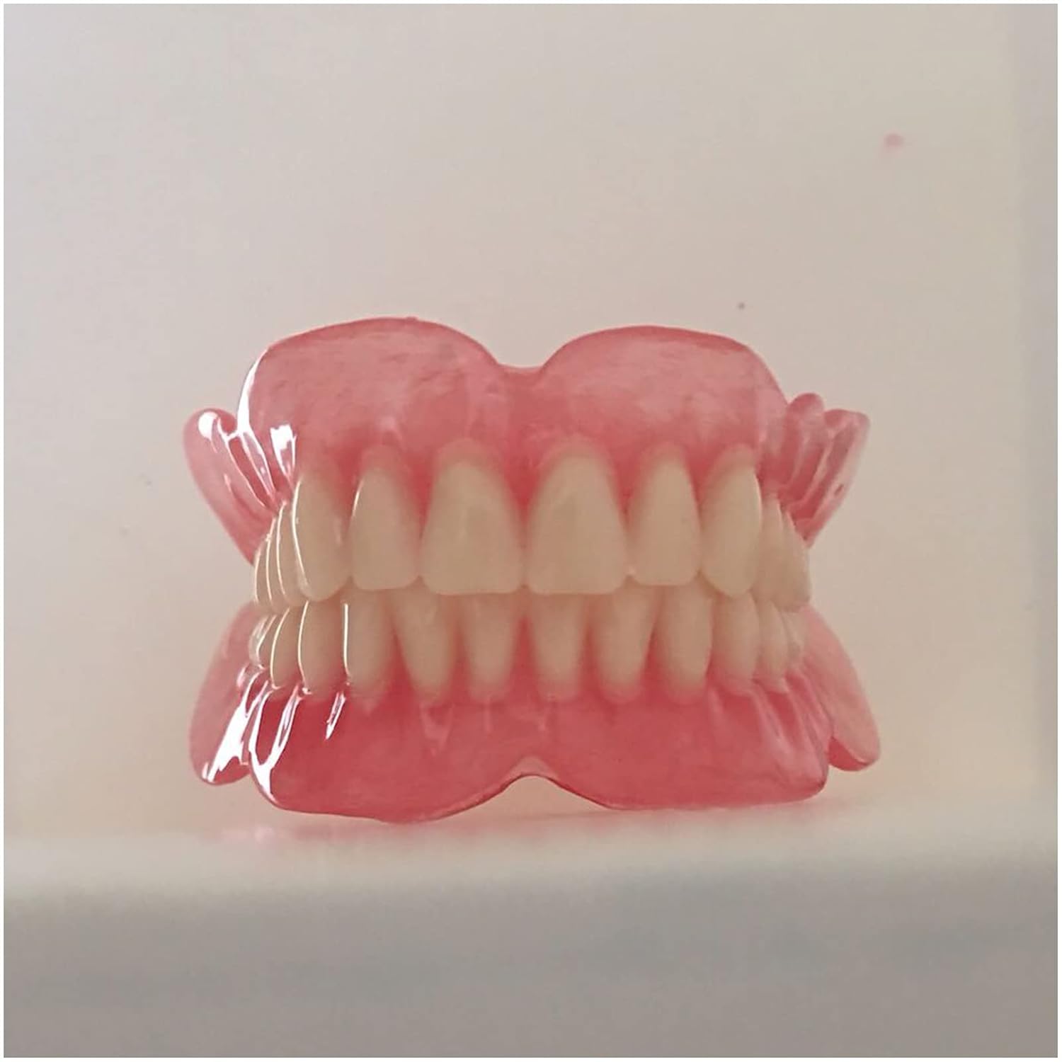 Amazon.com: KH66ZKY Upper Teeth and Lower Teeth Model - Denture Model ...
