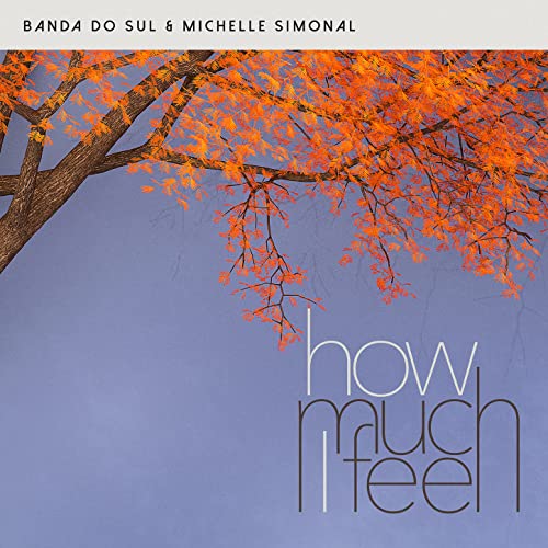 How Much I Feel by Banda Do Sul & Michelle Simonal on Amazon Music ...