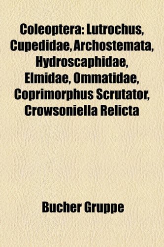 Coleoptera: Buprestidae, Cantharidae, Carabidae, Cerambycidae ...