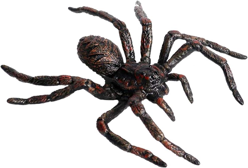 Amazon.com: FLORMOON Realistic Animal Figures - Spider Action Model ...