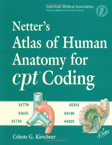 Netter's Atlas of Human Anatomy for CPT Coding: 9781579476694: Medicine ...