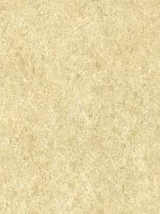 Amazon.com: THE NEW LOOK Wallpaper -6689 Wallpaper : Home & Kitchen