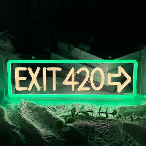 Amazon.com : Akelever Exit 420 Street Neon Sign LED Neon Lights Signs ...