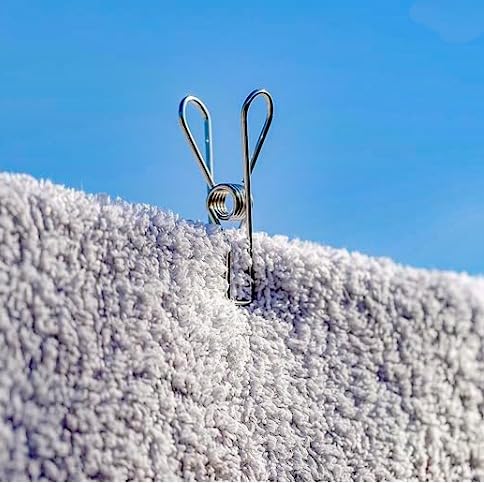 Seymour's Stainless Steel Pegs 40 Pack : Amazon.com.au: Home