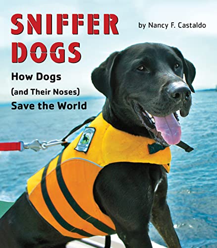 5 Best Sniffer Dogs: Expert Picks and Ratings - destinationdorworth.com