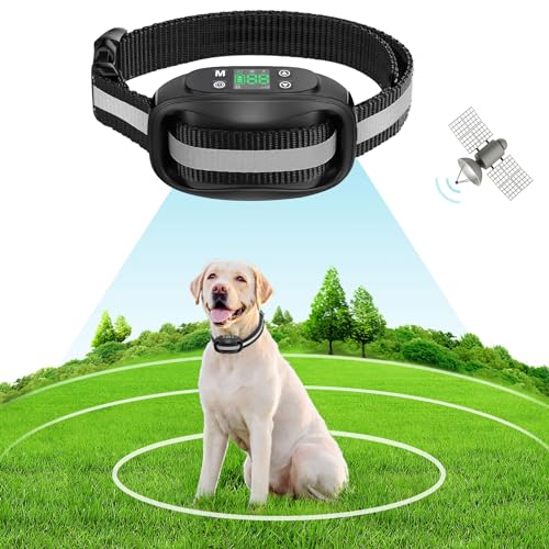 Gps Wireless Dog Fence – The 15 best products compared - Your Motor Guide