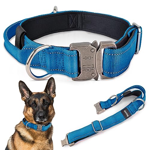 Dog Collar with Handle – The 15 best products compared - Wild Explained