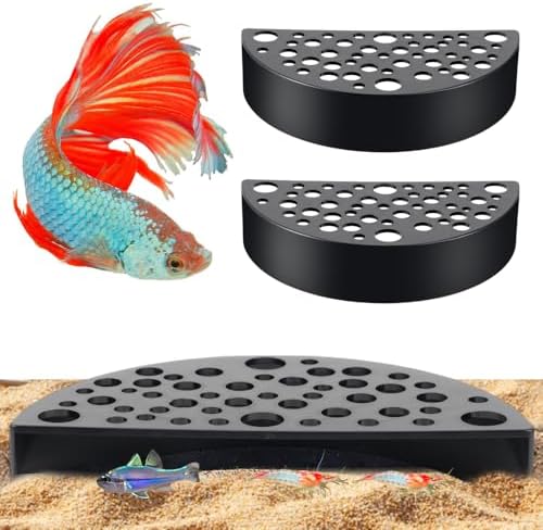 Amazon.com: Lucky Critter Shrimp Cave Underground Maze Tunnel | Viewing ...