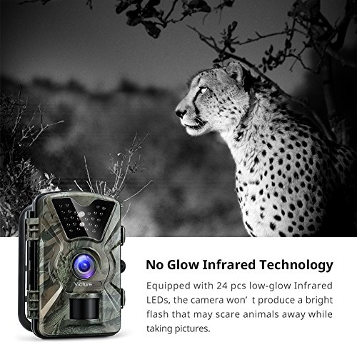 Victure Trail Camera Review - Top Choice | Feed That Game