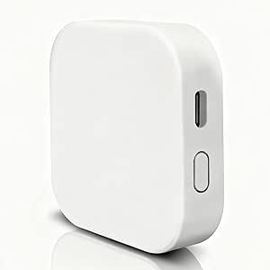 Amazon.com: Smart Bluetooth SIG Mesh Wireless Hub Gateway, 2.4Ghz WiFi ...