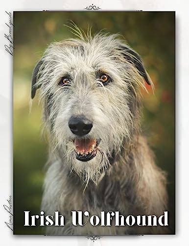 17 Best New Dog Breeds Books To Read In 2024 - BookAuthority