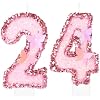 Amazon.com: Birthday Candles, Number 24 Candle, Butterfly 24th Birthday ...