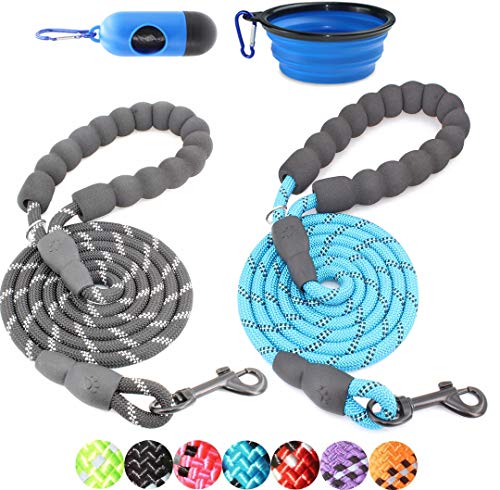 Packleashes – The 15 best products compared - Wild Explained