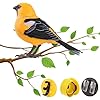 Amazon.com: Doefo Electric Singing and Chirping Bird Toy, Interactive ...